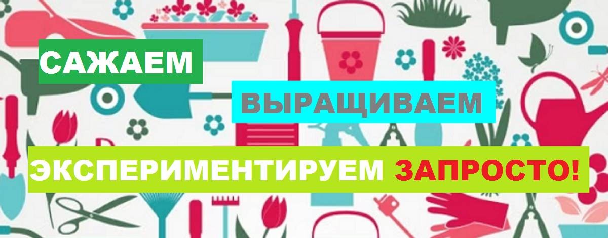 ЗАПРОСТО О СЛОЖНОМ