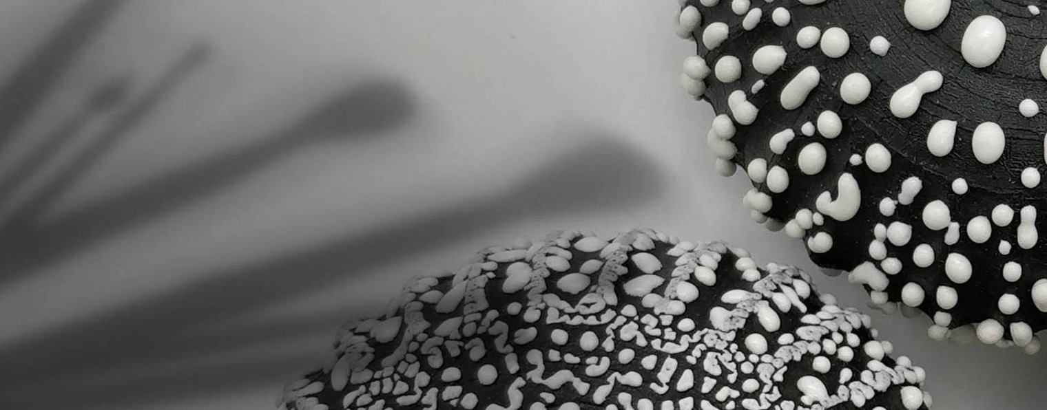 Арт глазури AGM