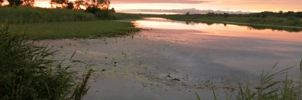 Дачный период