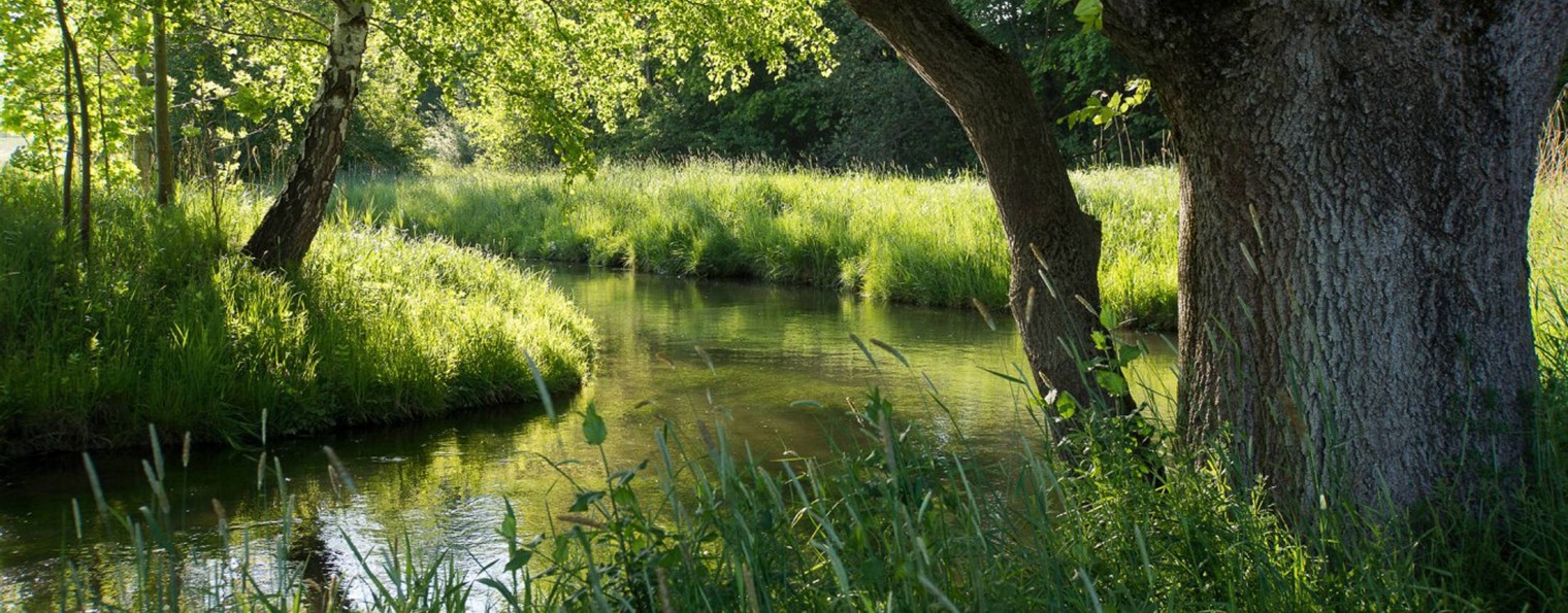 Для дома, для семьи