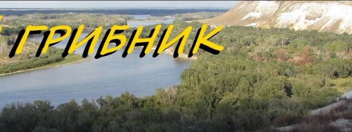 Непутевый грибник