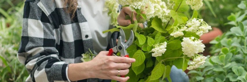 Ангелина, Садовод по образованию и призванию