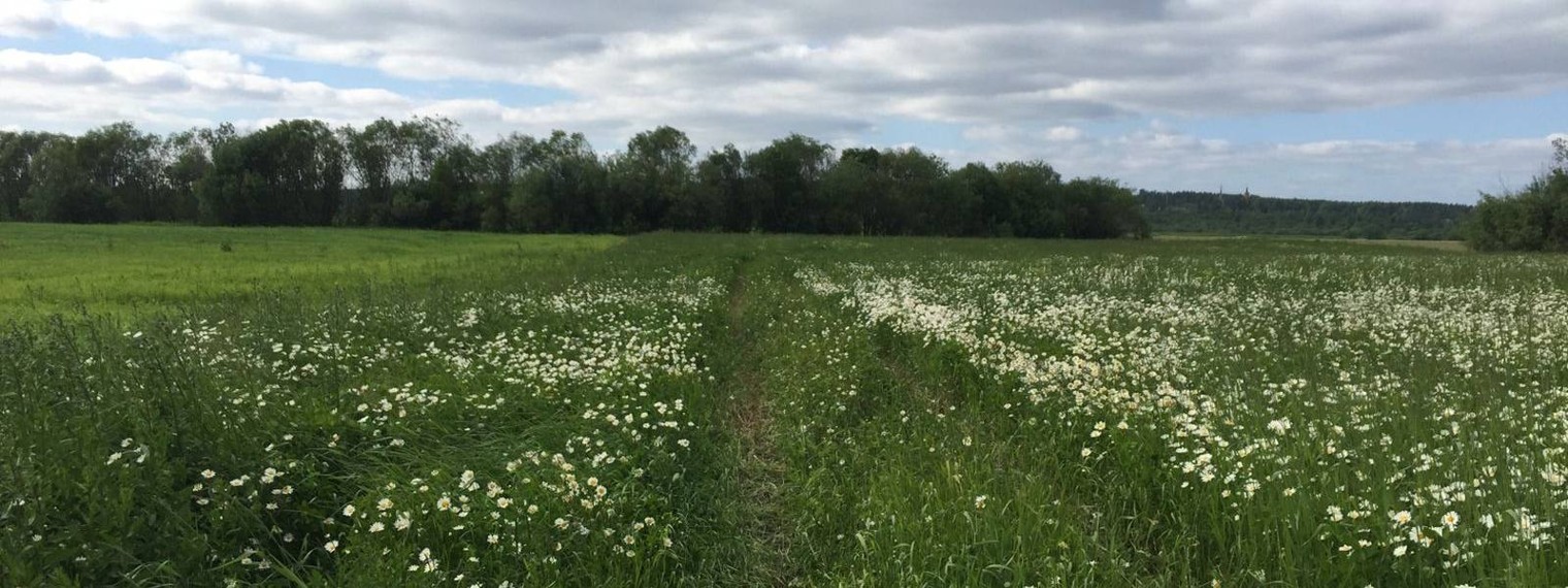 Пасека Поюжья