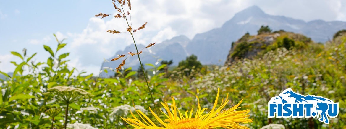 Фишт.ру - Туризм в Краснодарском крае и на Кавказе