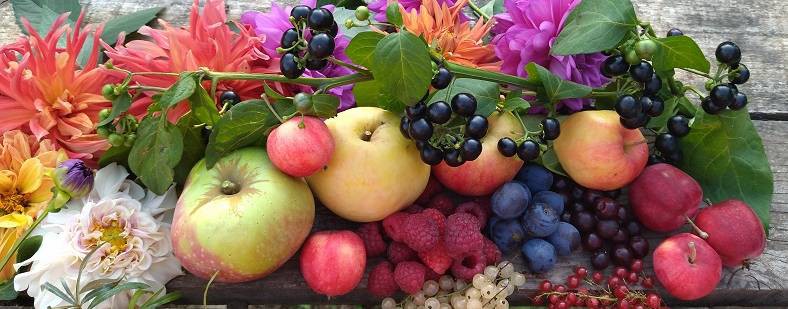 Реальный огородник и цветовод (Пермь)