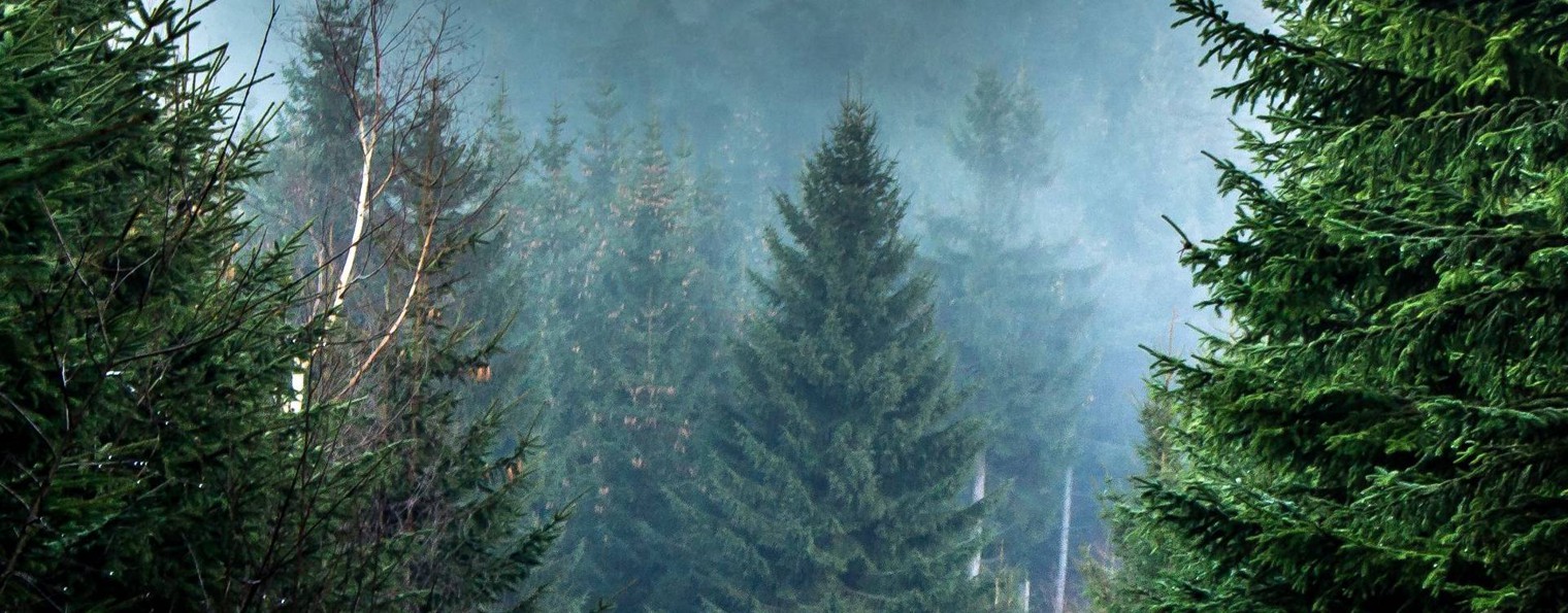 Игра на Выживание