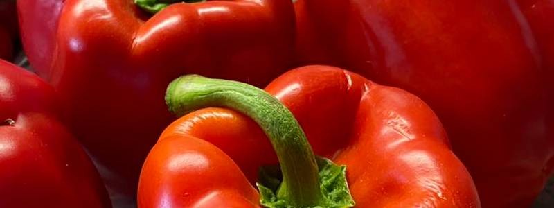 КУЛИНАРНЫЙ ТЕХНИКУМ