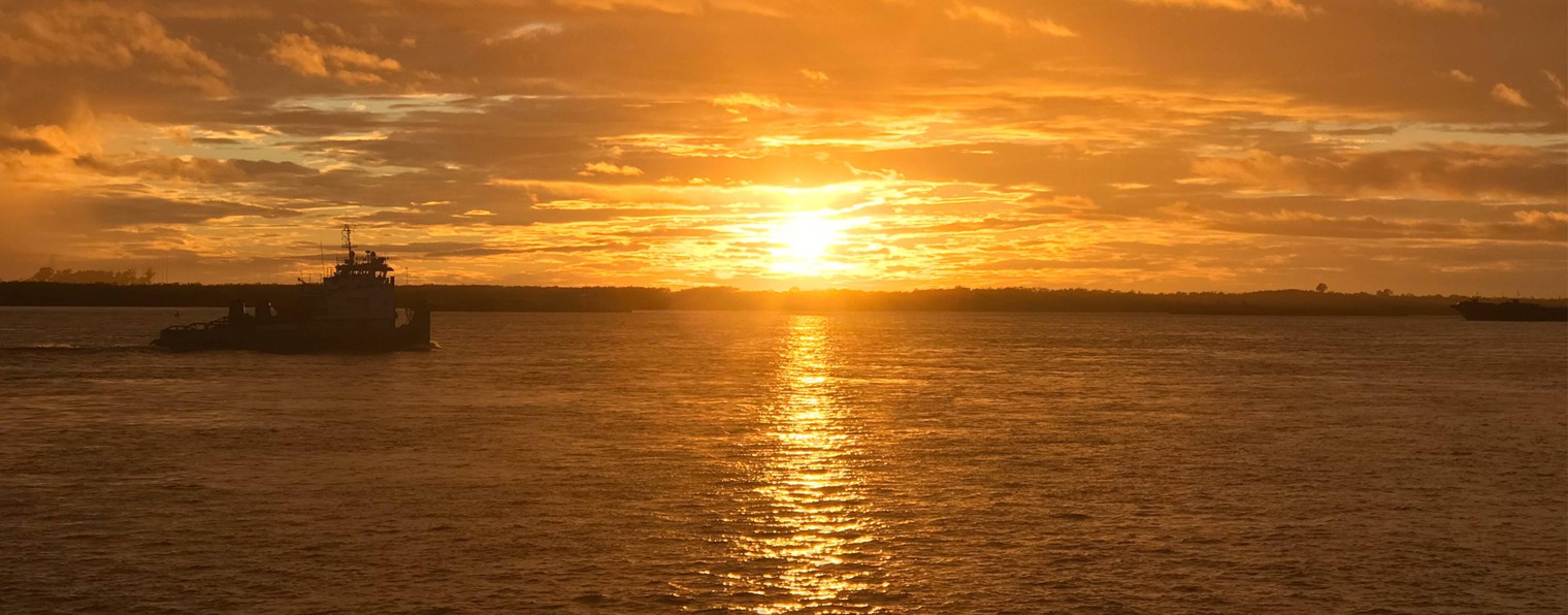 Рыба где-то рядом