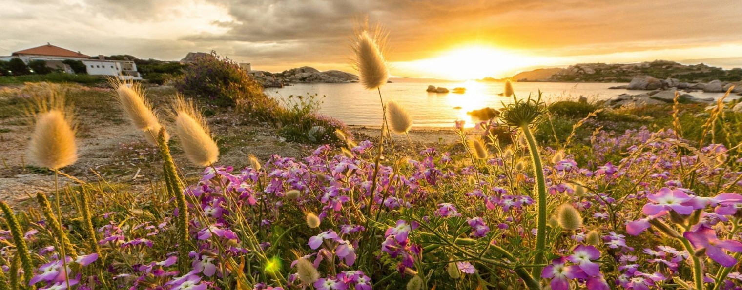 Вектор надежды