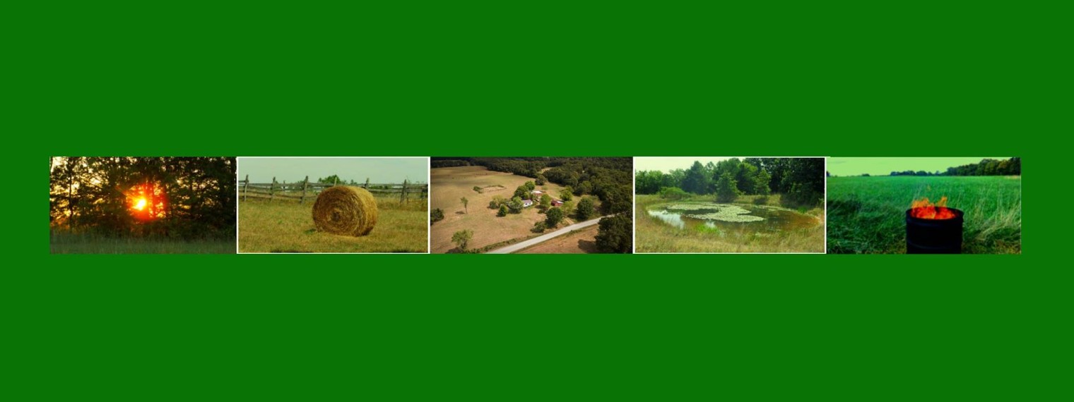 Дневник Загородной Жизни