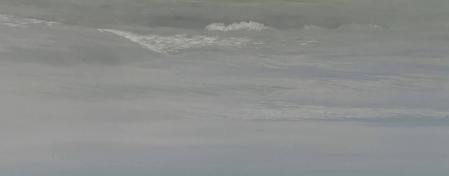 Школа жизни