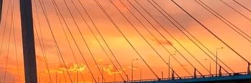 Leafправыйруль