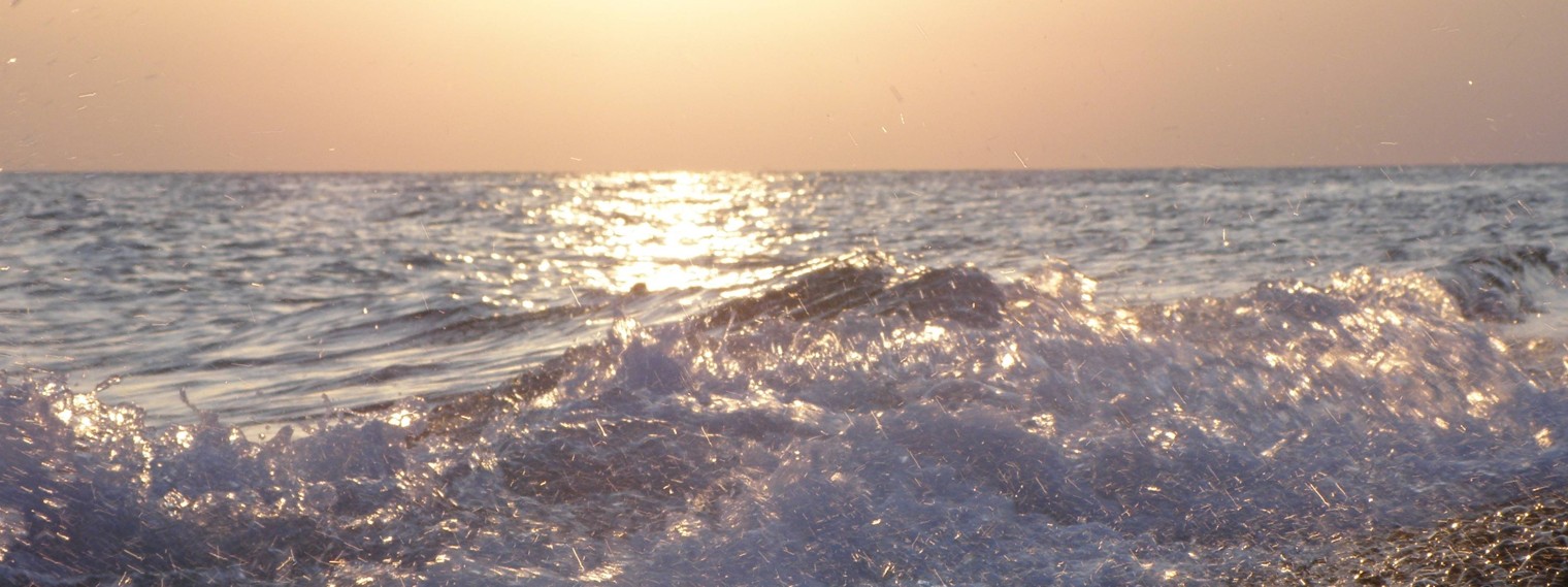 Теймураз Скворцов