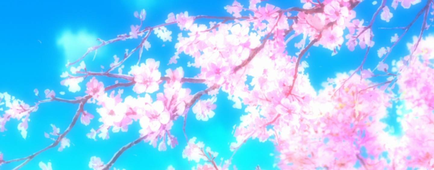 Женя Старков