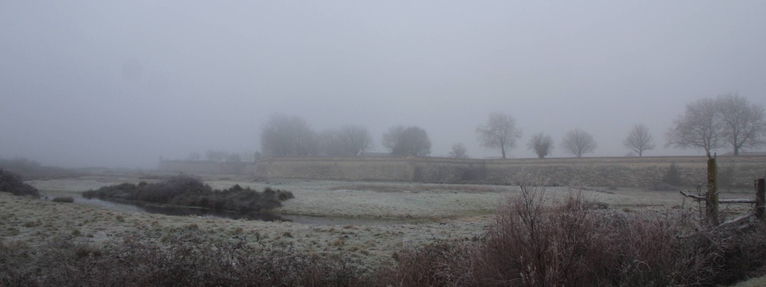 rutube_account_2471104