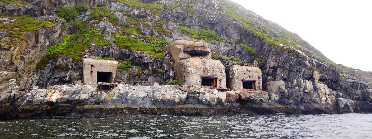 Артём Хохолев