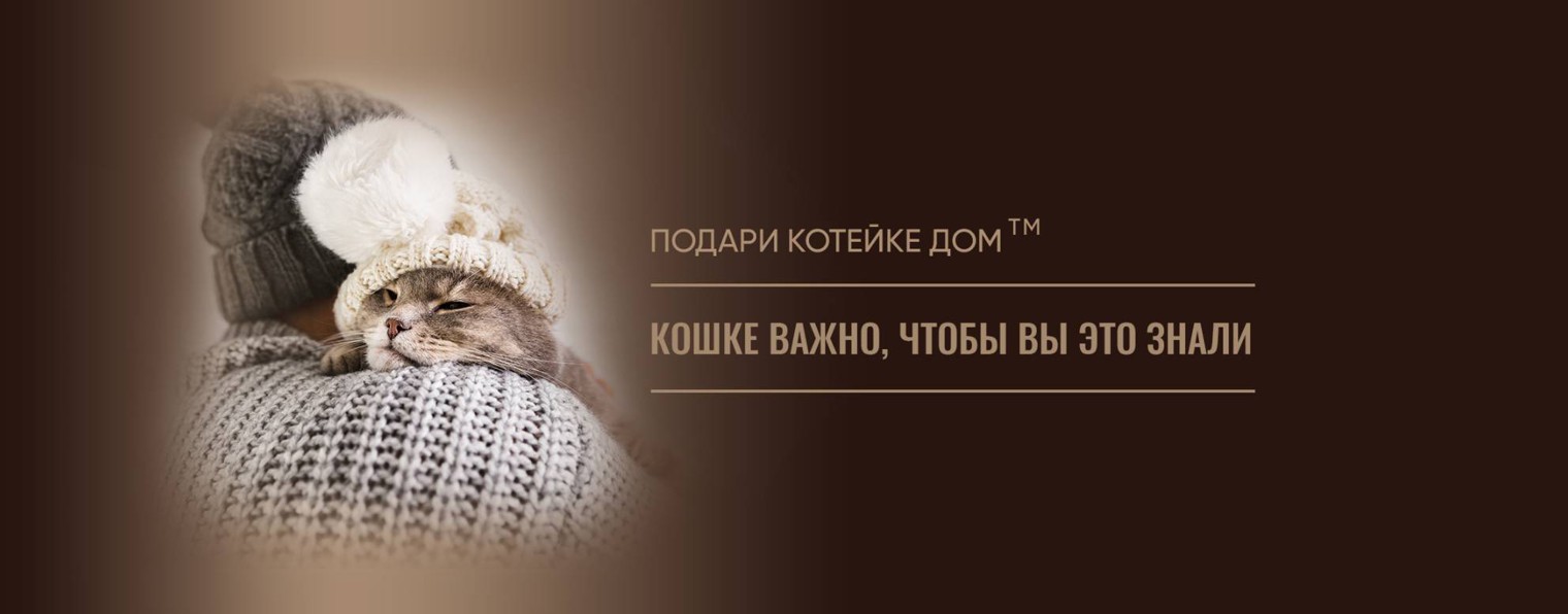 Подари котейке дом
