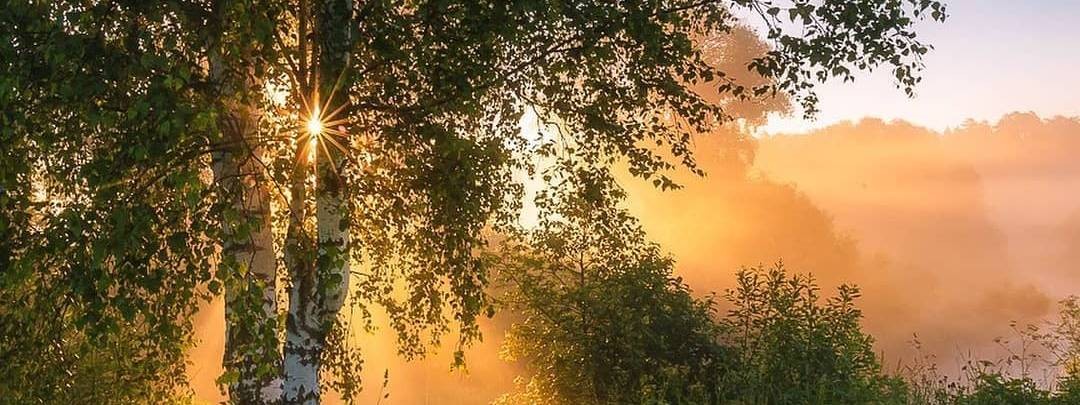 Silence_Gamer [S-Gamer]