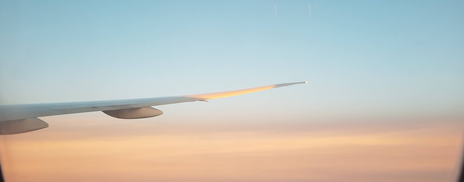 FLY / ЦОКОфлай