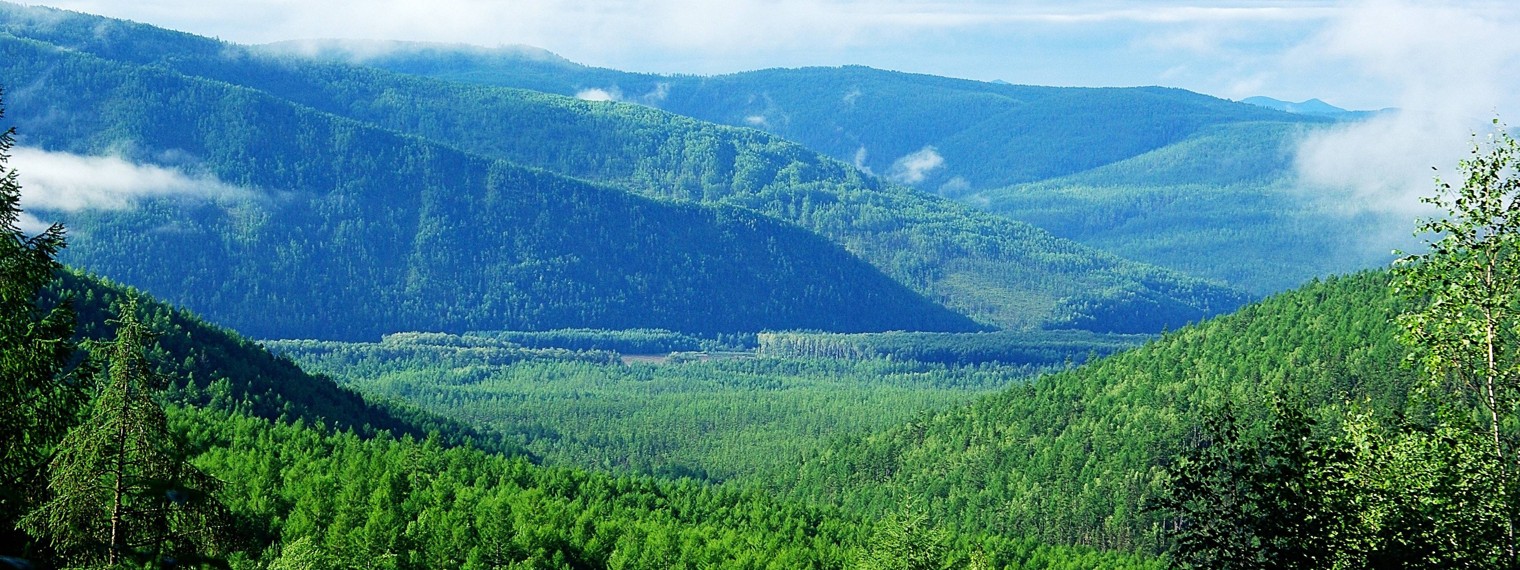 Селемджинский район