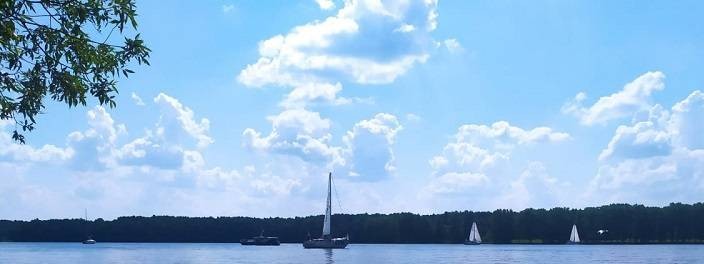 История одного кангала.