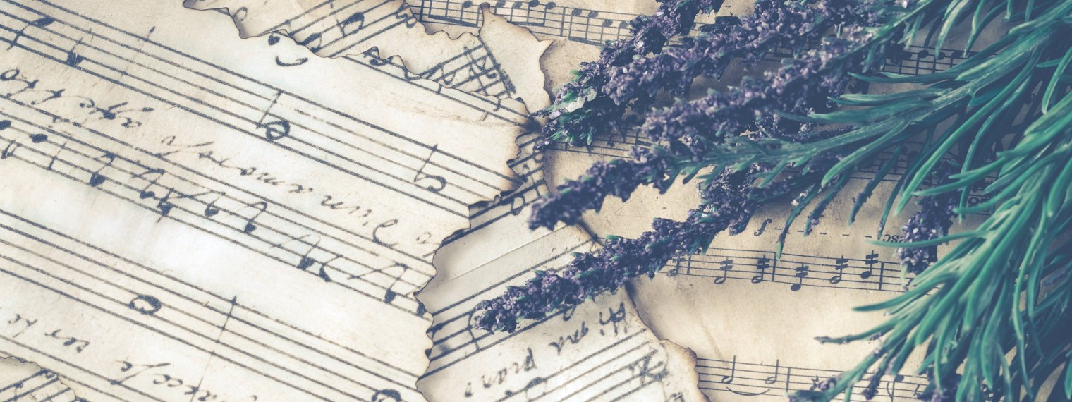 Ольга Михайленко