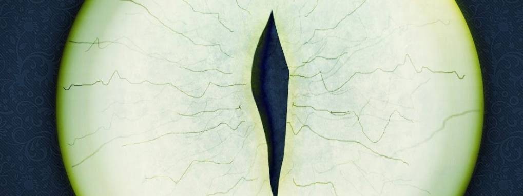 ЗВЕЗДНАЯ ЖИЗНЬ