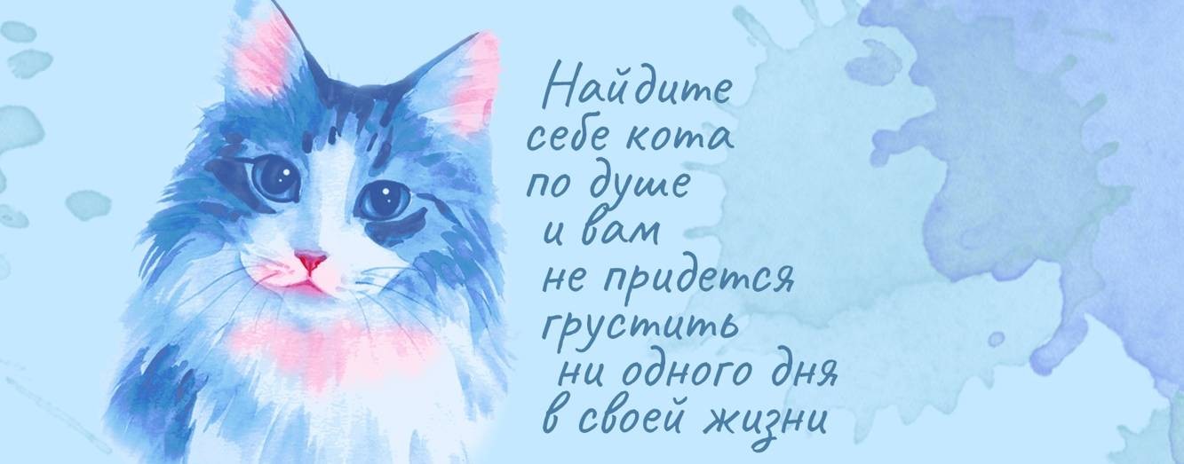 приют для кошек УБЕЖИЩЕ