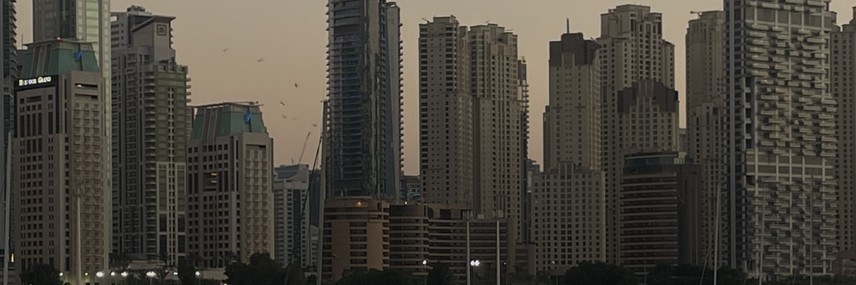 Диана Черных | лайфстайл & контент