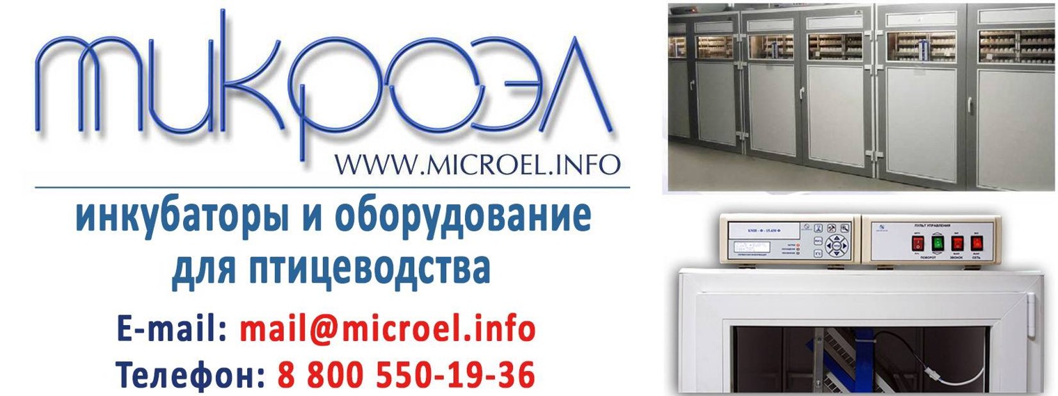 Инкубаторы Микроэл