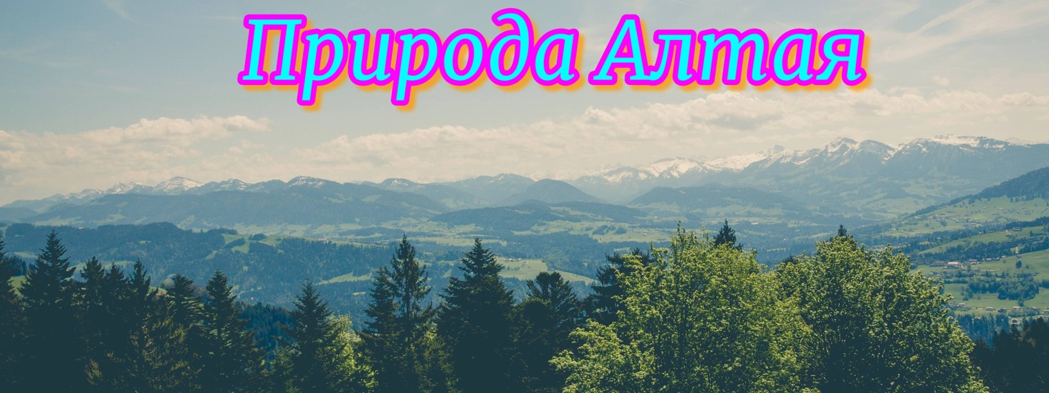 Сергей Крахмалев