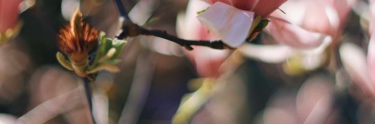 Цветы-светильники ручной работы