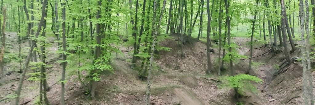 Грибы Крыма и Донбасса