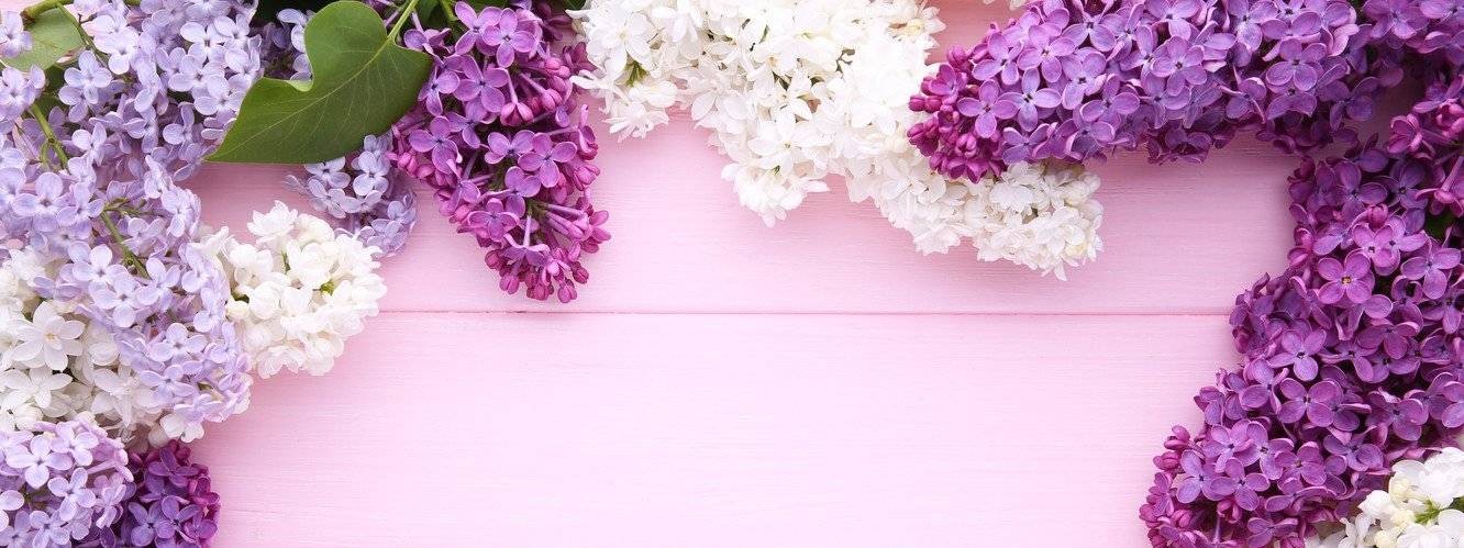 Злата Любомирова. Стихи