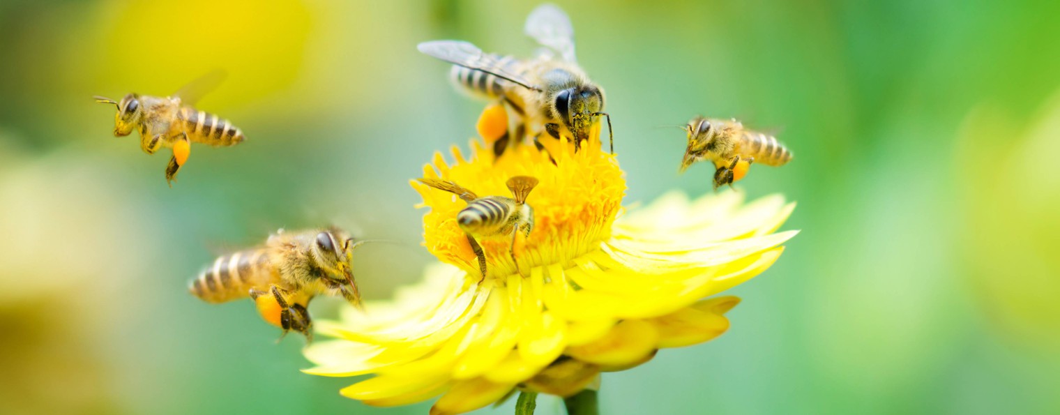 Хиты и нарезки всех жанров и времён