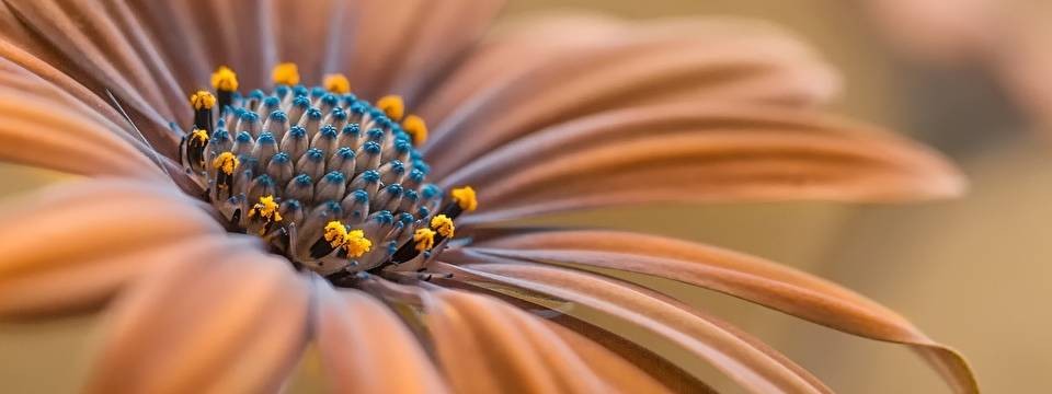 Приморье, жизнь за городом