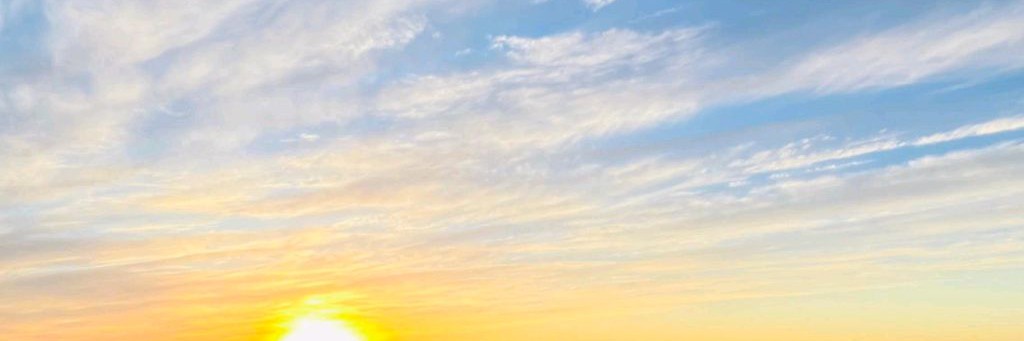 Аниматор Гурина