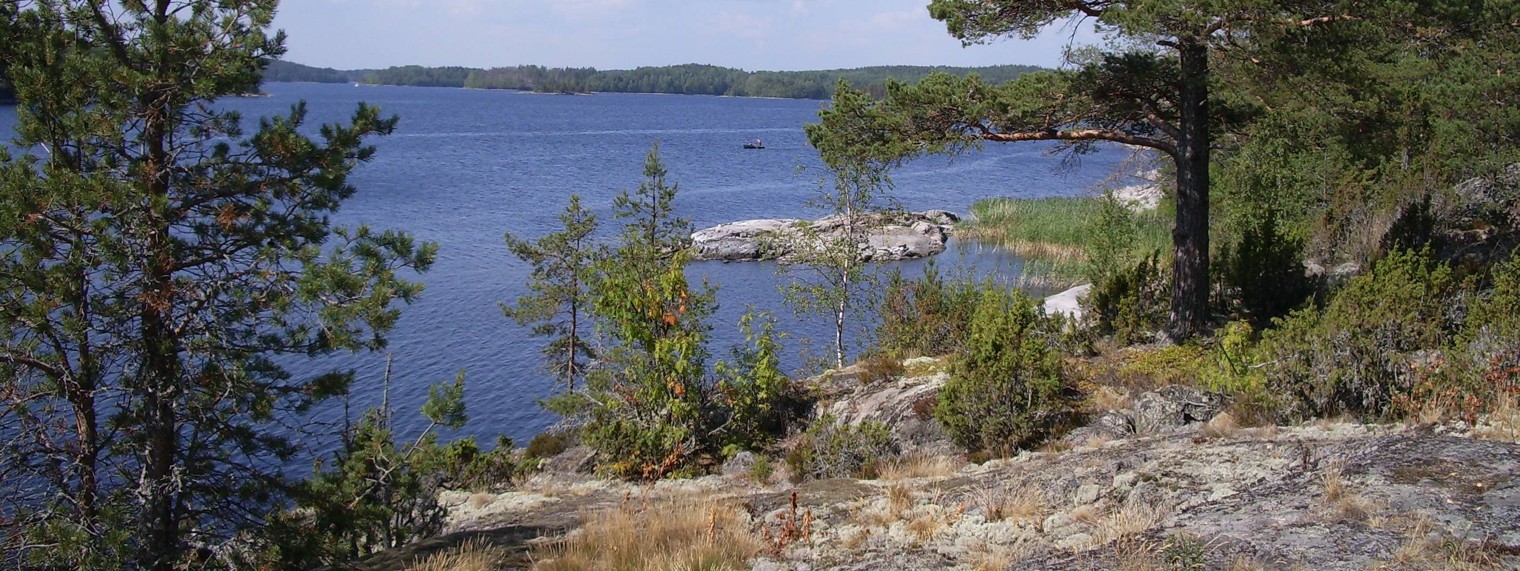 Константин Мориц