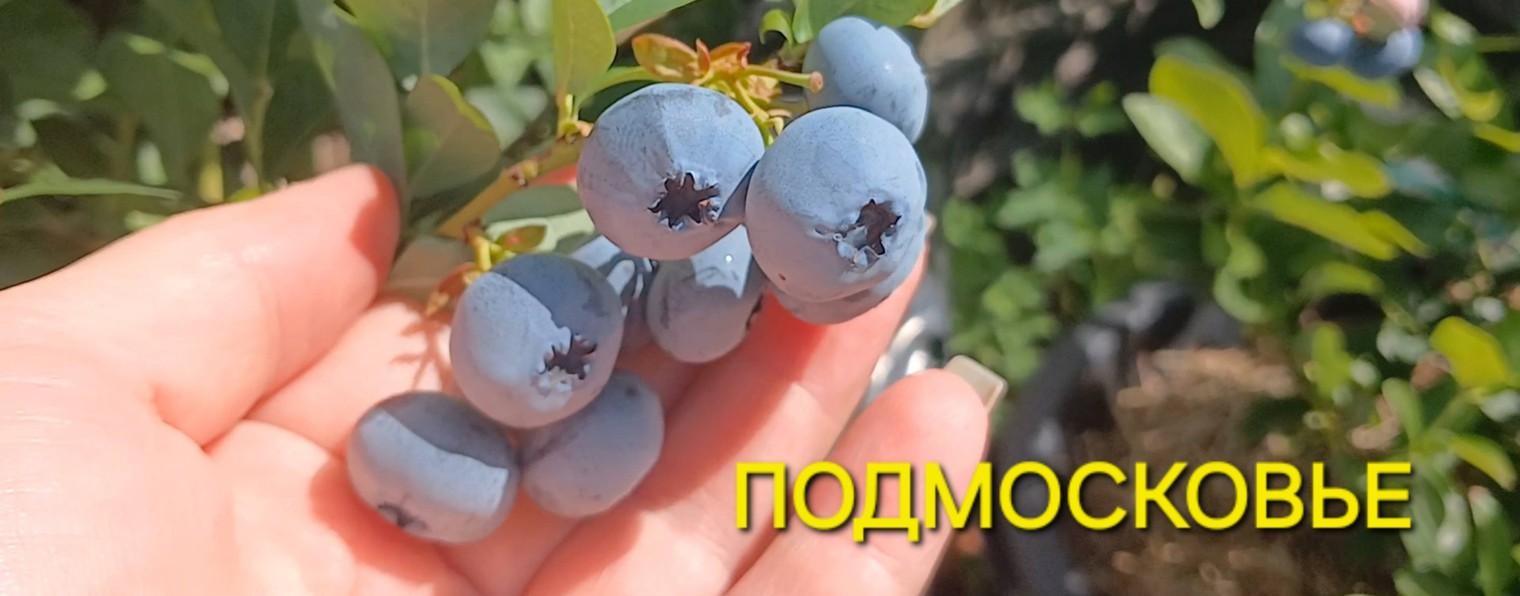 1000 мыслей в моей голове