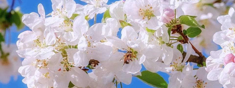Сельские зарисовки