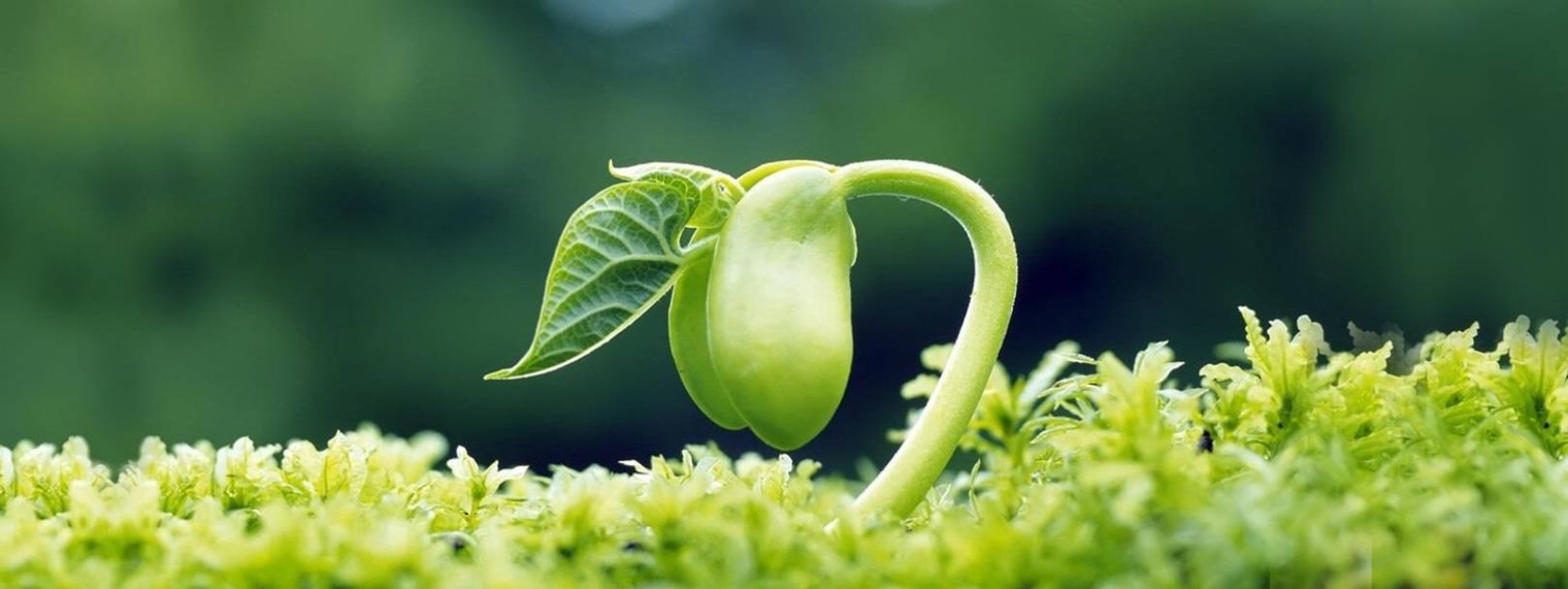 Онлайн Экология