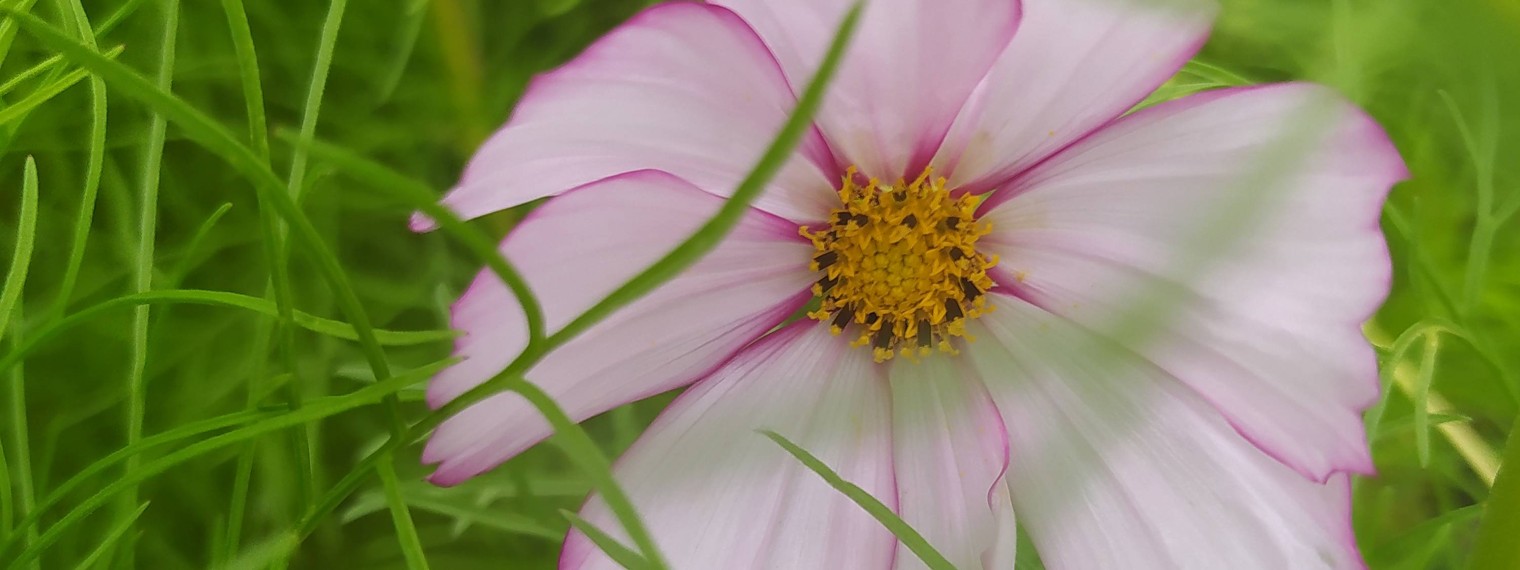 Райское место