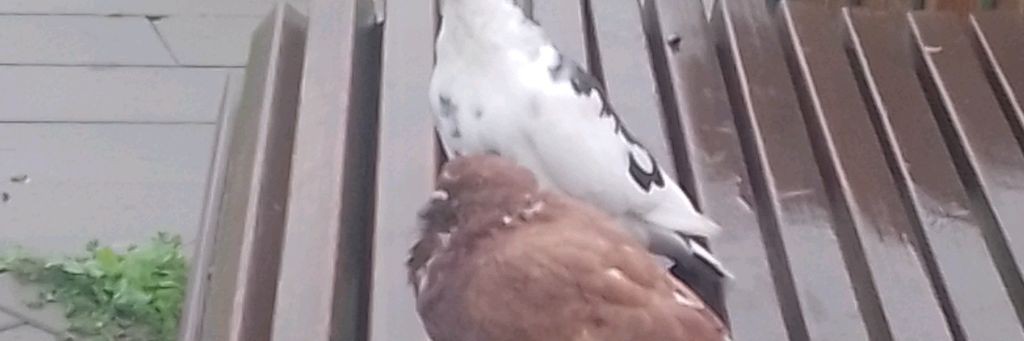 Настюлька_игры и не только