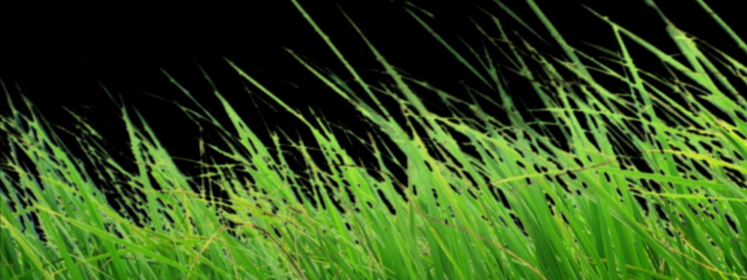 rutube_account_23500692