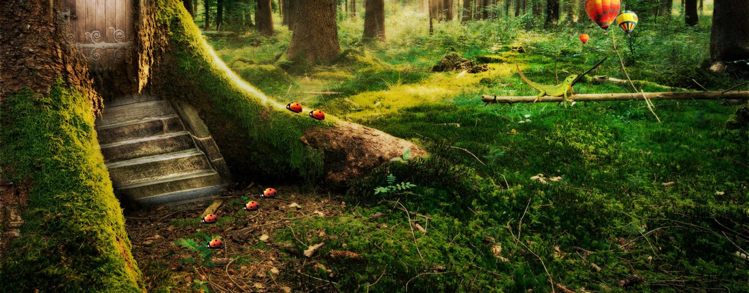 Фуфики хотят кушать