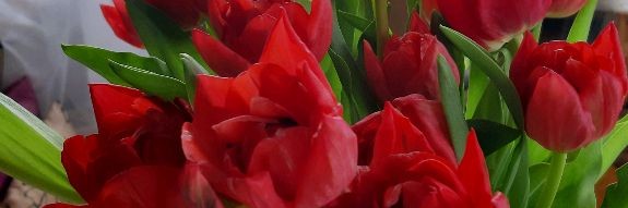 Ольга Цысарь