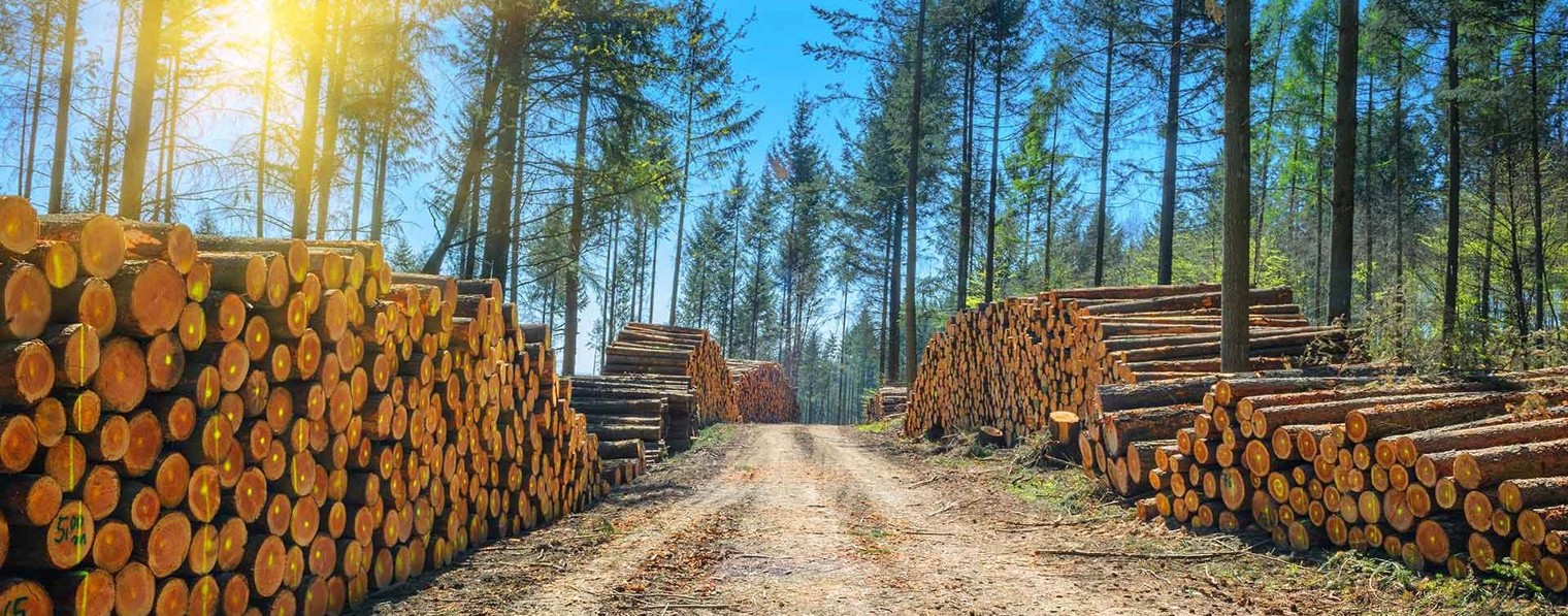 СК «Модуль-М"