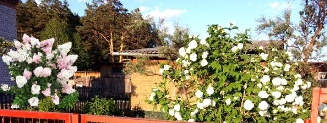 Красивая усадьба