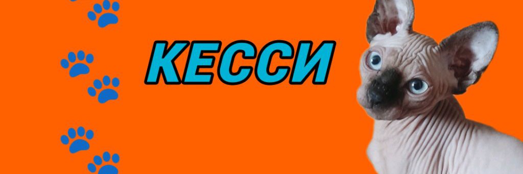 Кесси+Томас