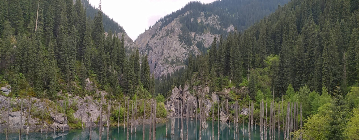Старостина Галина. Дневник лягушки-путешественницы